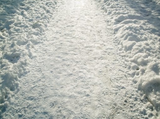 Shield & Protect | Green Umbrella Systems