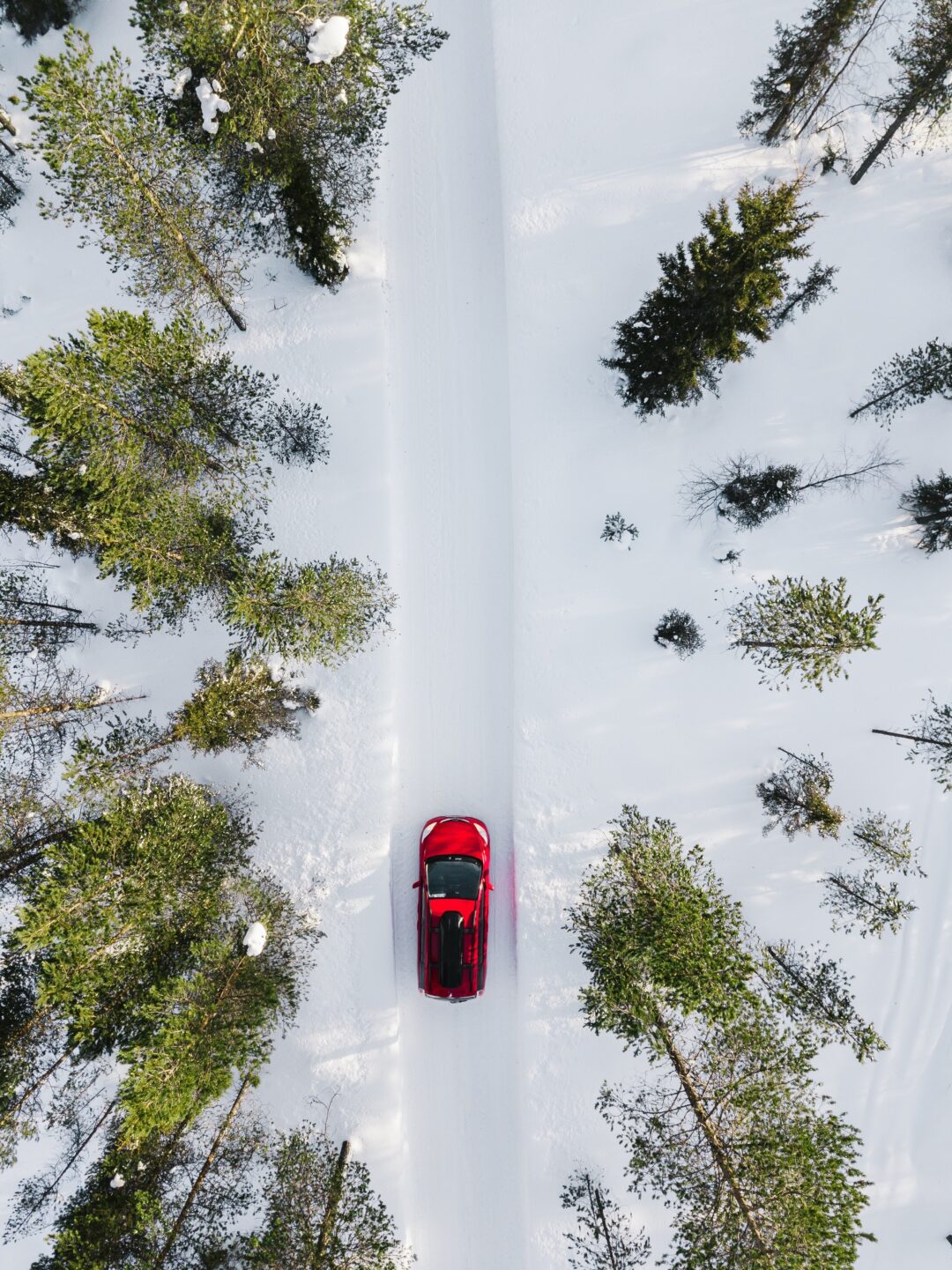 Shield & Protect | Green Umbrella Systems